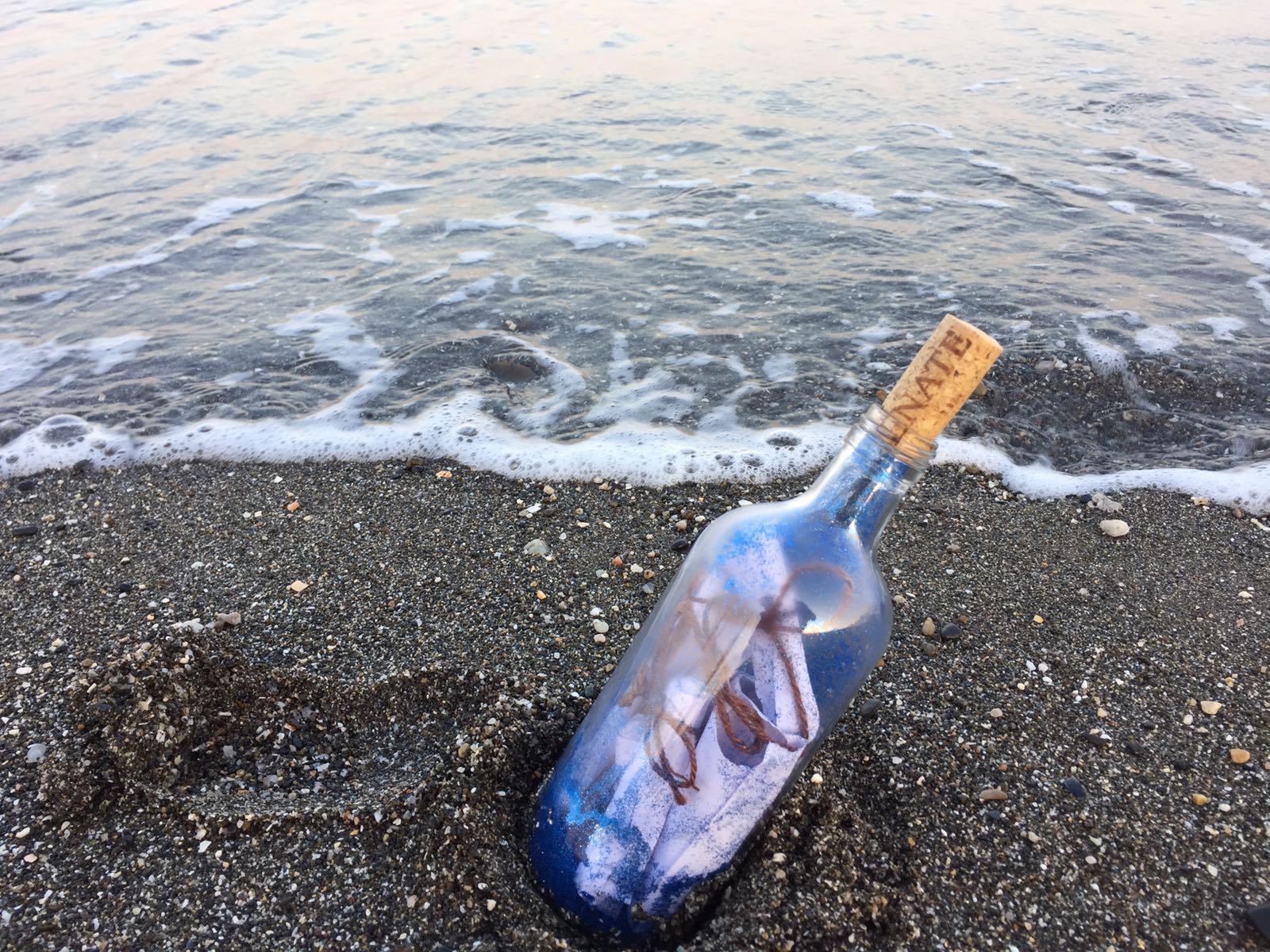 Home - The Language House